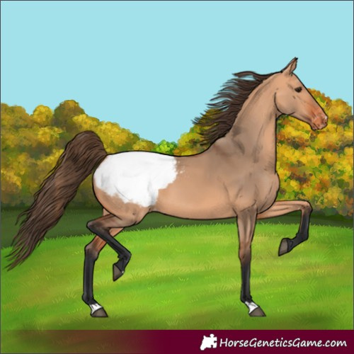 KT Do Fire | HorseGeneticsGame.com