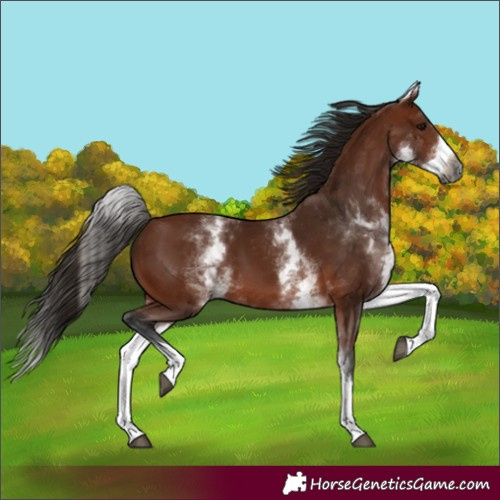KT Her Heart Sparked | HorseGeneticsGame.com