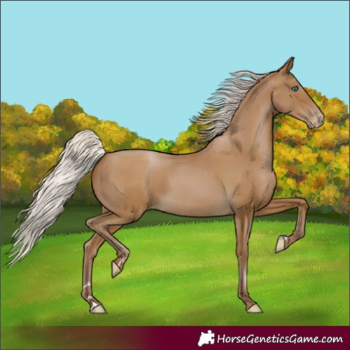 KT You Talks | HorseGeneticsGame.com