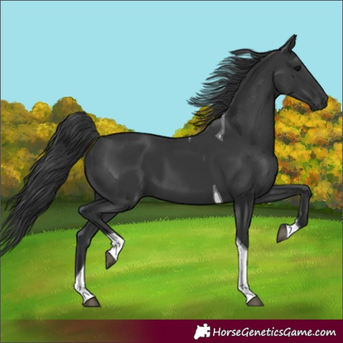 KT Here Comes The World | HorseGeneticsGame.com