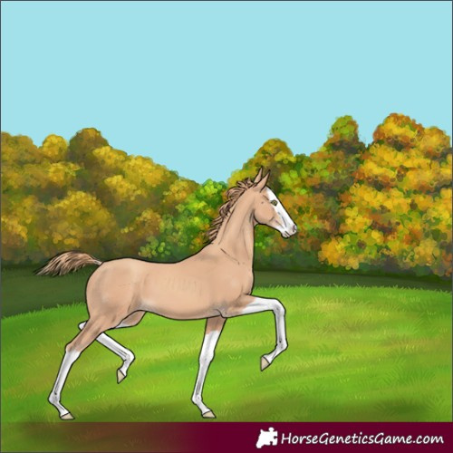 KT Prize Queen | HorseGeneticsGame.com