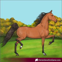 Draft | HorseGeneticsGame.com