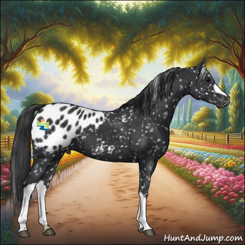 AVR Future Eclipse 3A | HuntAndJump.com