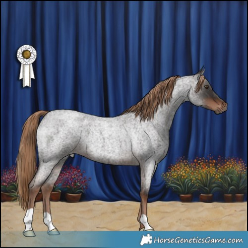 xxAVR Raise Ur Scarlet 3A | HuntAndJump.com