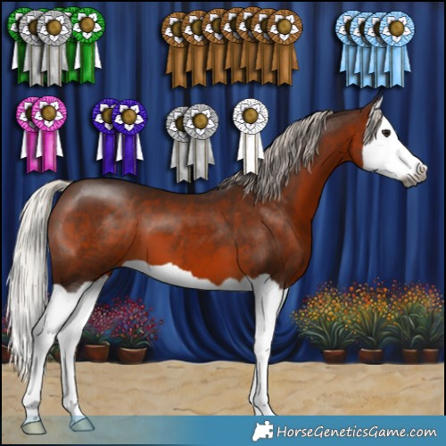 pz Ima Dark Ruby Too XS | HorseGeneticsGame.com