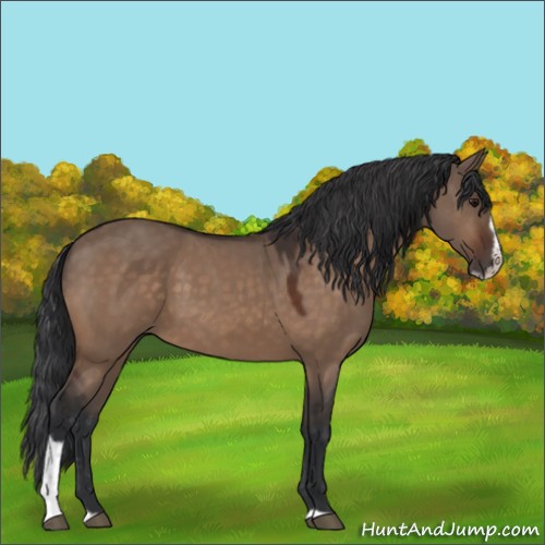 6G Outfoxxed AGA | HuntAndJump.com