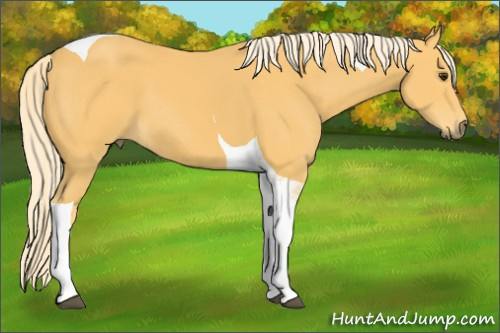 Fancy 18879021 | HuntAndJump.com