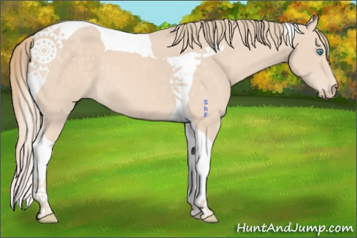 3g Cip Plat Darkly Jesus | HuntAndJump.com