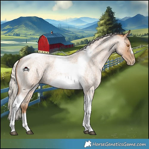 asurr 19378280 | HuntAndJump.com