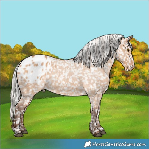 SH19390495 RS | HuntAndJump.com