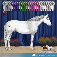 SS trilling future | HorseGeneticsGame.com