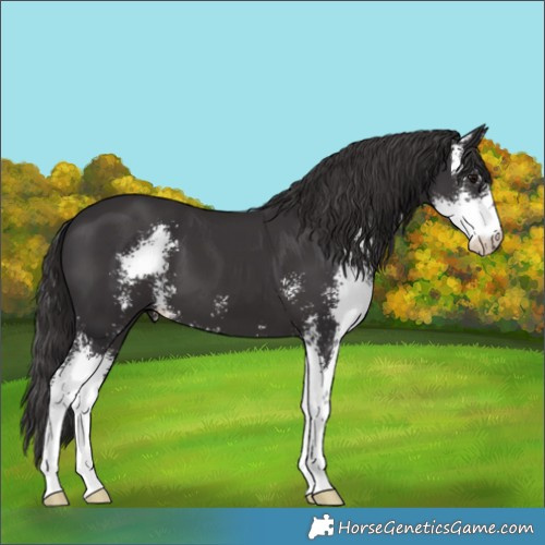 VF String Of Promises 3A | HuntAndJump.com