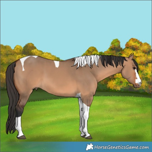 Fancy Nub Bigfoot | HuntAndJump.com