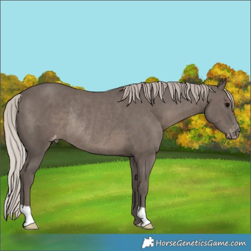 Icey Highlights Cherry | HuntAndJump.com