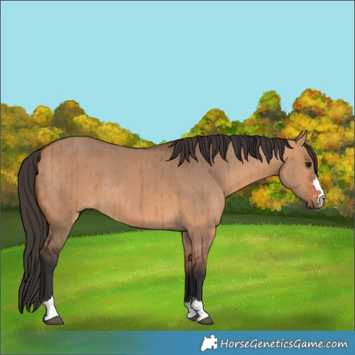 TNT Stoli Possible | HorseGeneticsGame.com