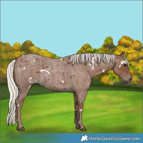 Fancy Power Occupations | HorseGeneticsGame.com