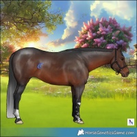 E2 BSThe Storm Trooper 10G | HorseGeneticsGame.com