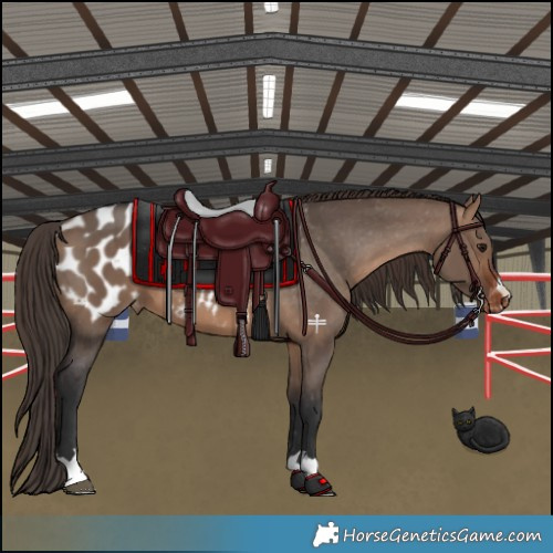 313s DF SH 20194507 | HuntAndJump.com