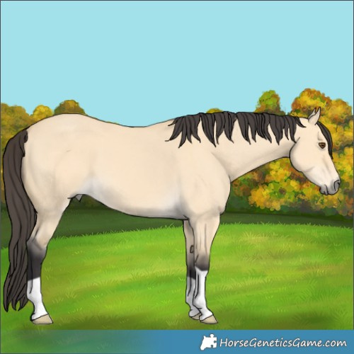 TNT Services Yoga | HorseGeneticsGame.com