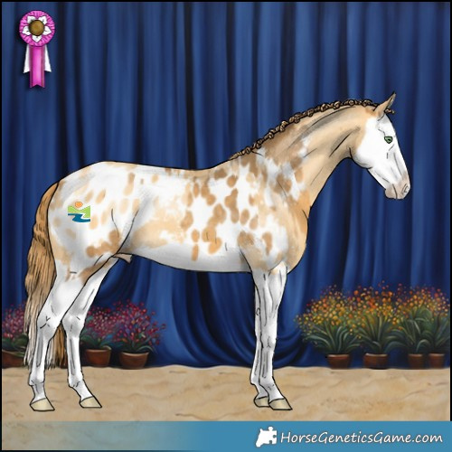 AVR Touch The Eclipse XS | HorseGeneticsGame.com