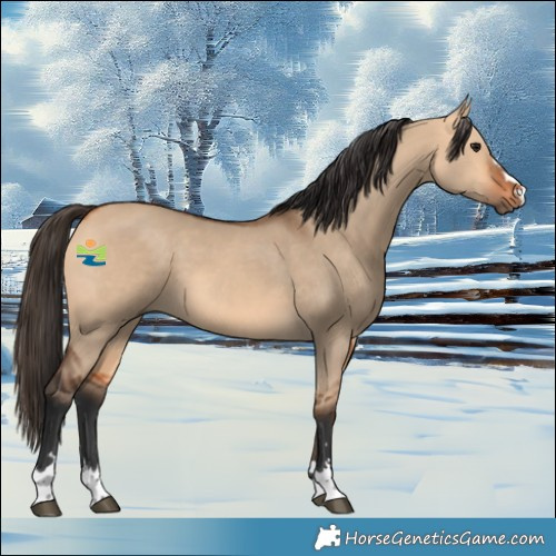 AVR Vertigo Tradition 2B | HorseGeneticsGame.com