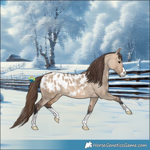 AVR Vertigo Victory 2B | HorseGeneticsGame.com