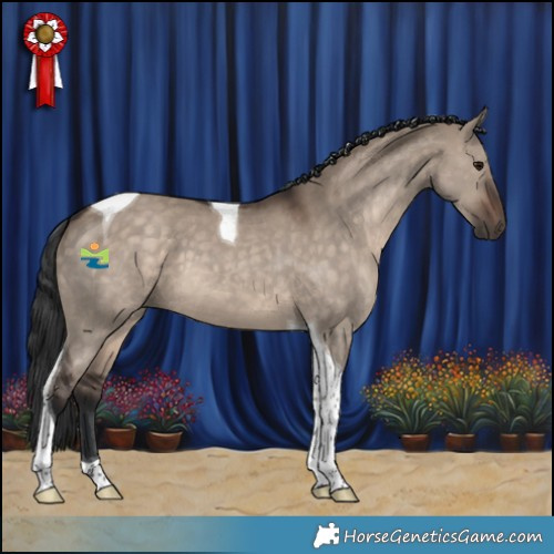 AVR Fabulous Coffee 8S | HorseGeneticsGame.com