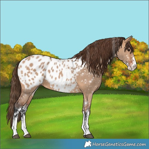 G3 20893092 | HorseGeneticsGame.com