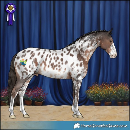 AVR Tuesday Ruby XS | HorseGeneticsGame.com