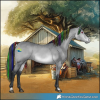 nz 21136531 | HorseGeneticsGame.com