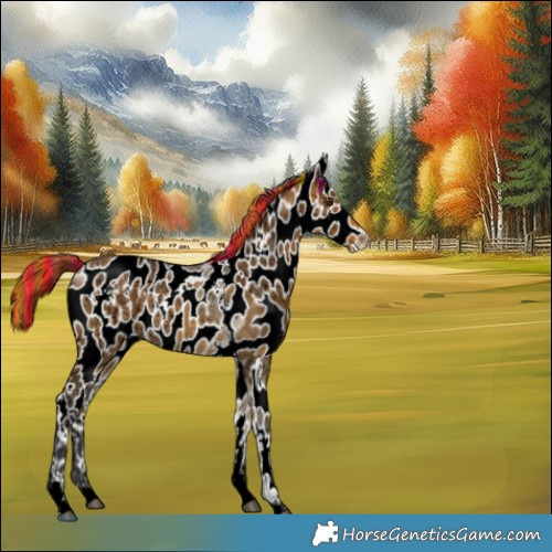 AVR Show Pony 20945231 | HorseGeneticsGame.com