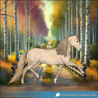 AVR Show Pony 21148607 | HorseGeneticsGame.com