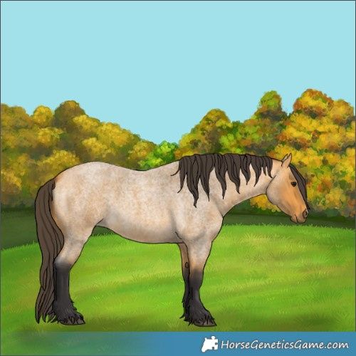 FR20995930 | HorseGeneticsGame.com
