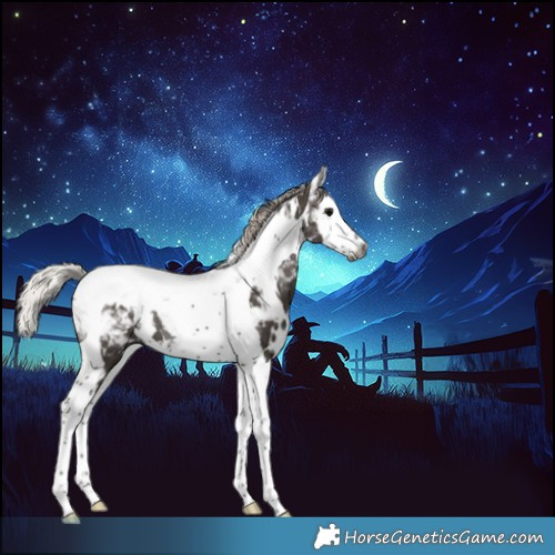 AVR Show Pony 21080709 | HorseGeneticsGame.com