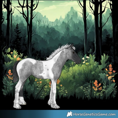 AVR Show Pony 21135139 | HorseGeneticsGame.com