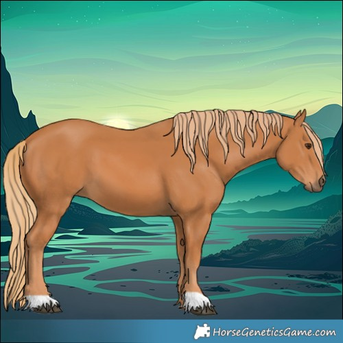 FR21418074 | HorseGeneticsGame.com