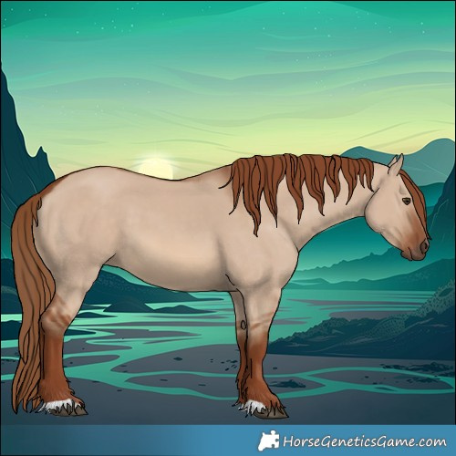 FR21427067 | HorseGeneticsGame.com