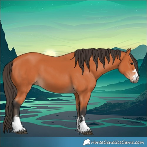 FR21441554 | HorseGeneticsGame.com