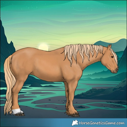 FR21451399 | HorseGeneticsGame.com