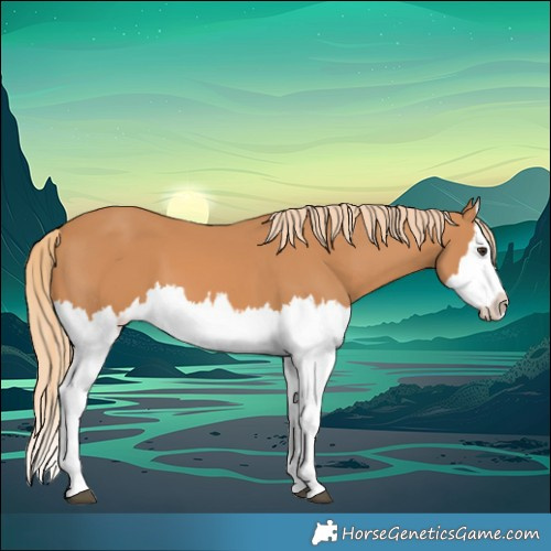 21451959 | HorseGeneticsGame.com