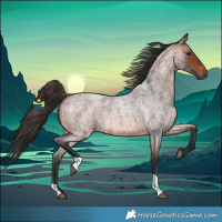 nz21486720 | HorseGeneticsGame.com
