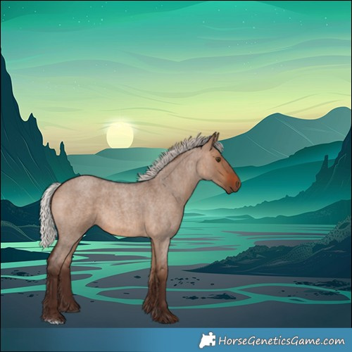 nz21486724 | HorseGeneticsGame.com