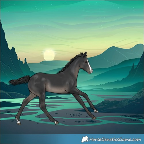 nz21487104 | HorseGeneticsGame.com