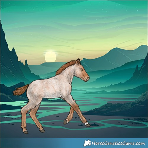 nz21487109 | HorseGeneticsGame.com