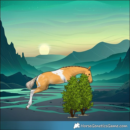 nz21487243 | HorseGeneticsGame.com