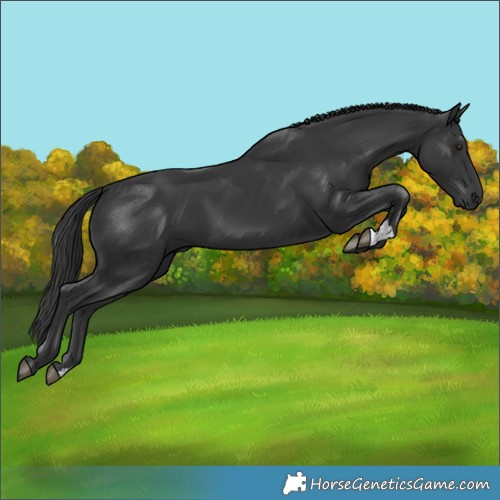 21488871 | HorseGeneticsGame.com
