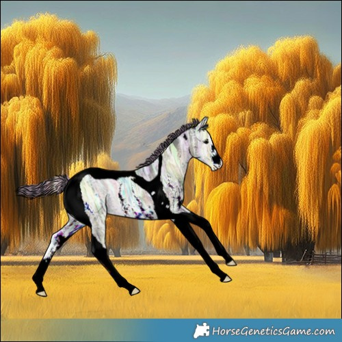 nz21497693 | HorseGeneticsGame.com