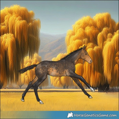 nz21497729 | HorseGeneticsGame.com
