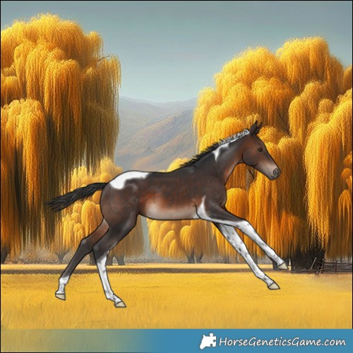 nz21497747 | HorseGeneticsGame.com