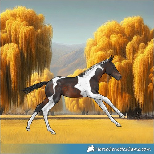 nz21497784 | HorseGeneticsGame.com